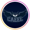 Logo CAEL