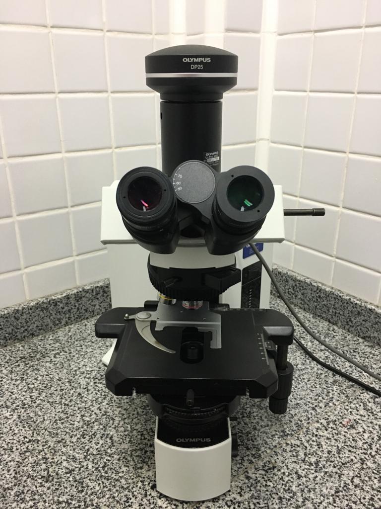 Microscópio para campo claro_escuro_e contraste de fase trinocular ...